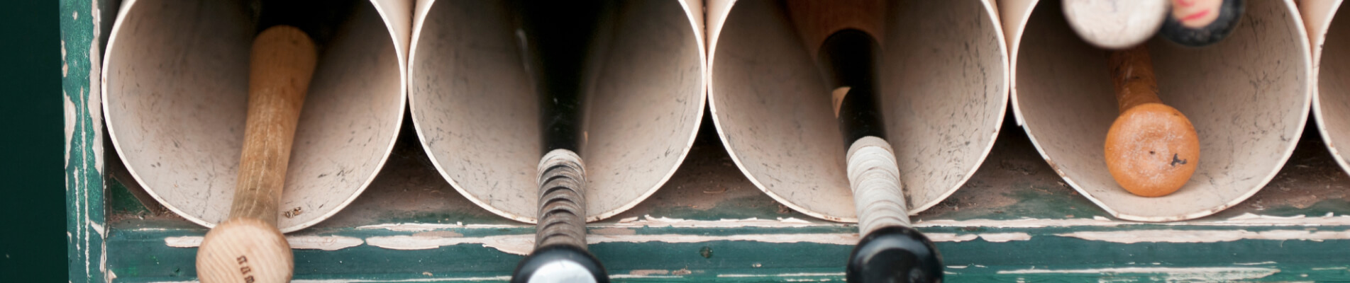 Meet Cubs superfan: Tyler Grote | Highland Park Bank & Trust